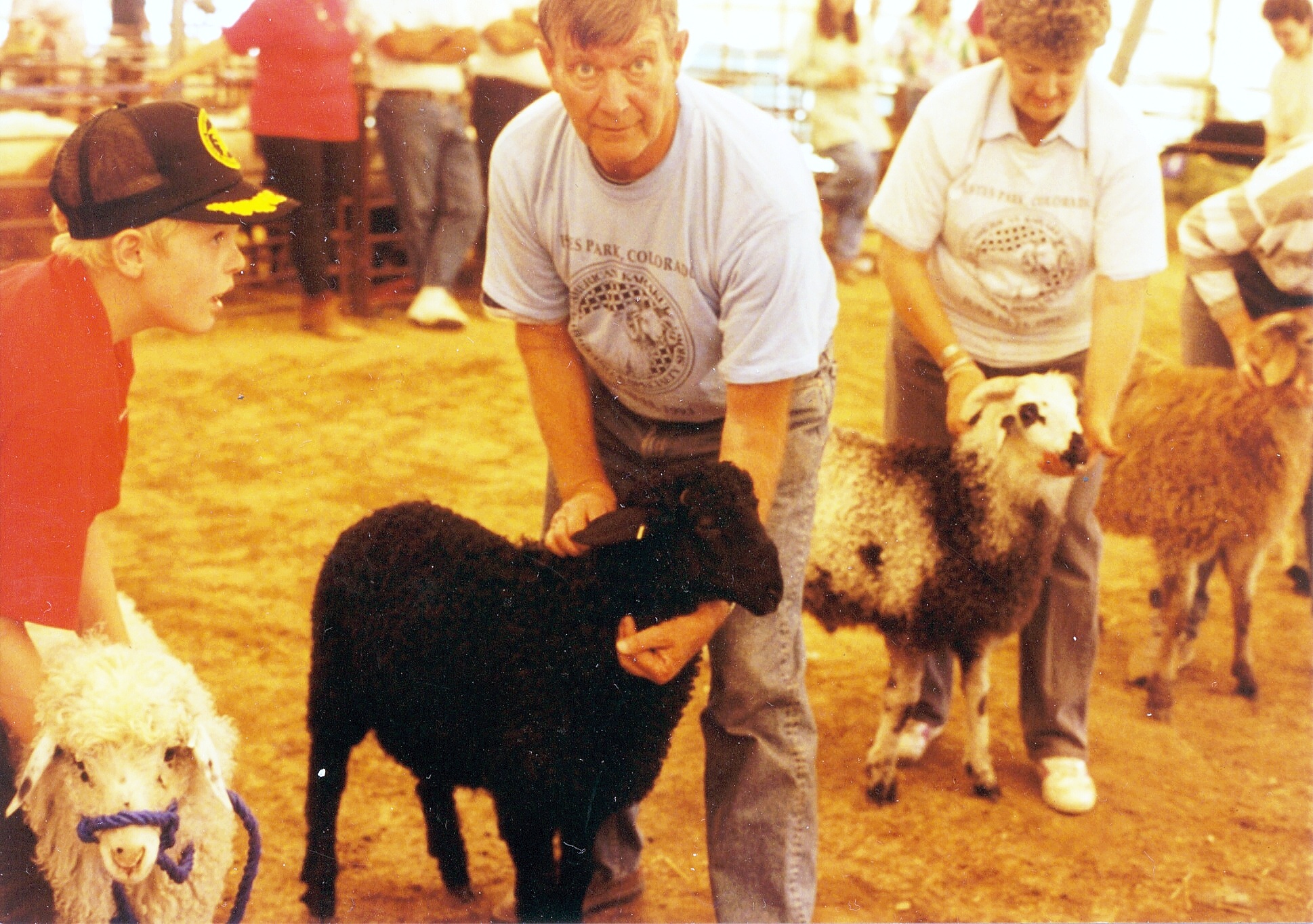 1993 Ram Lamb class | Karakul Shepherds Alliance
